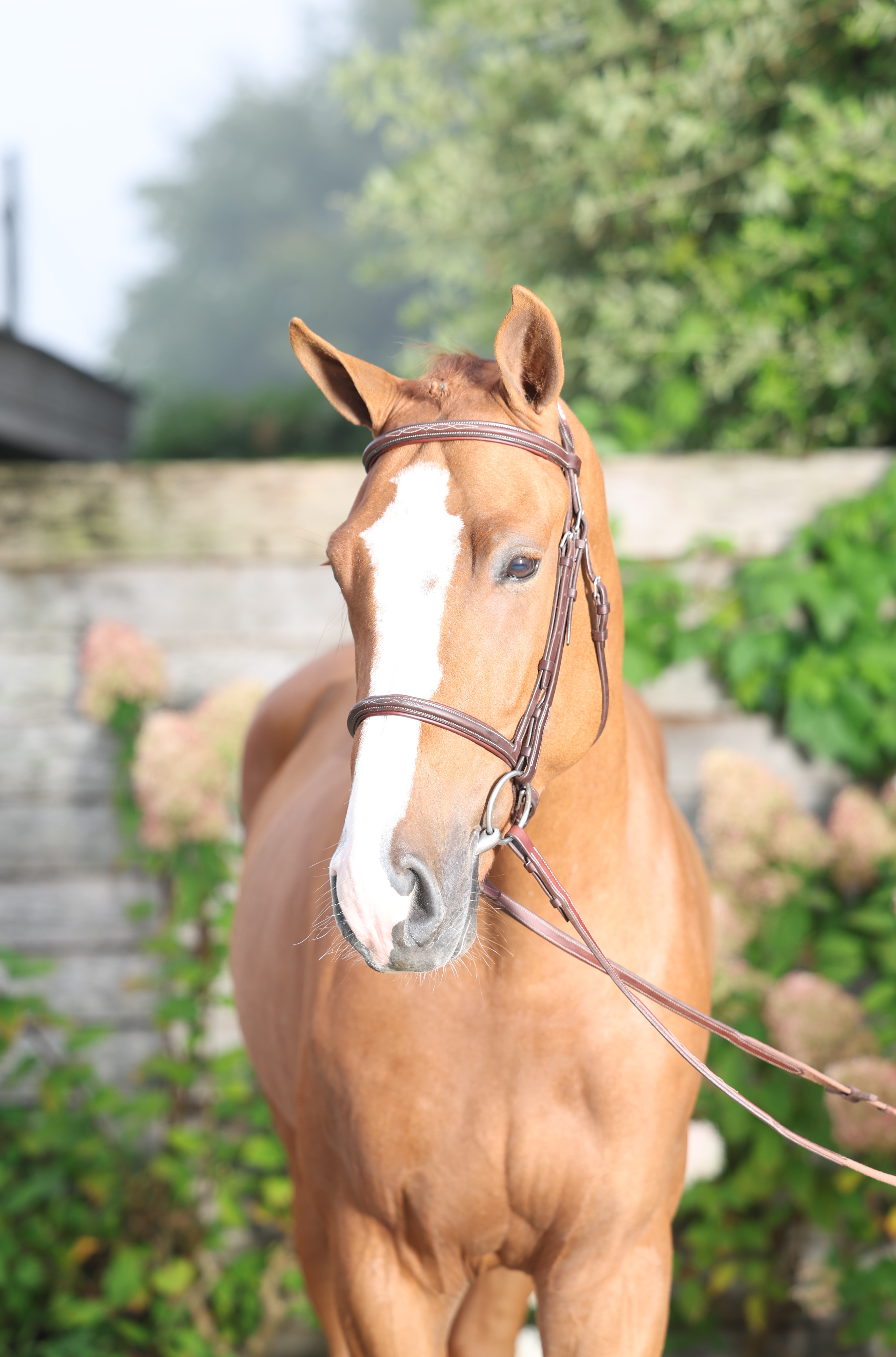 11. WAIT FOR YOU | Holger Hetzel